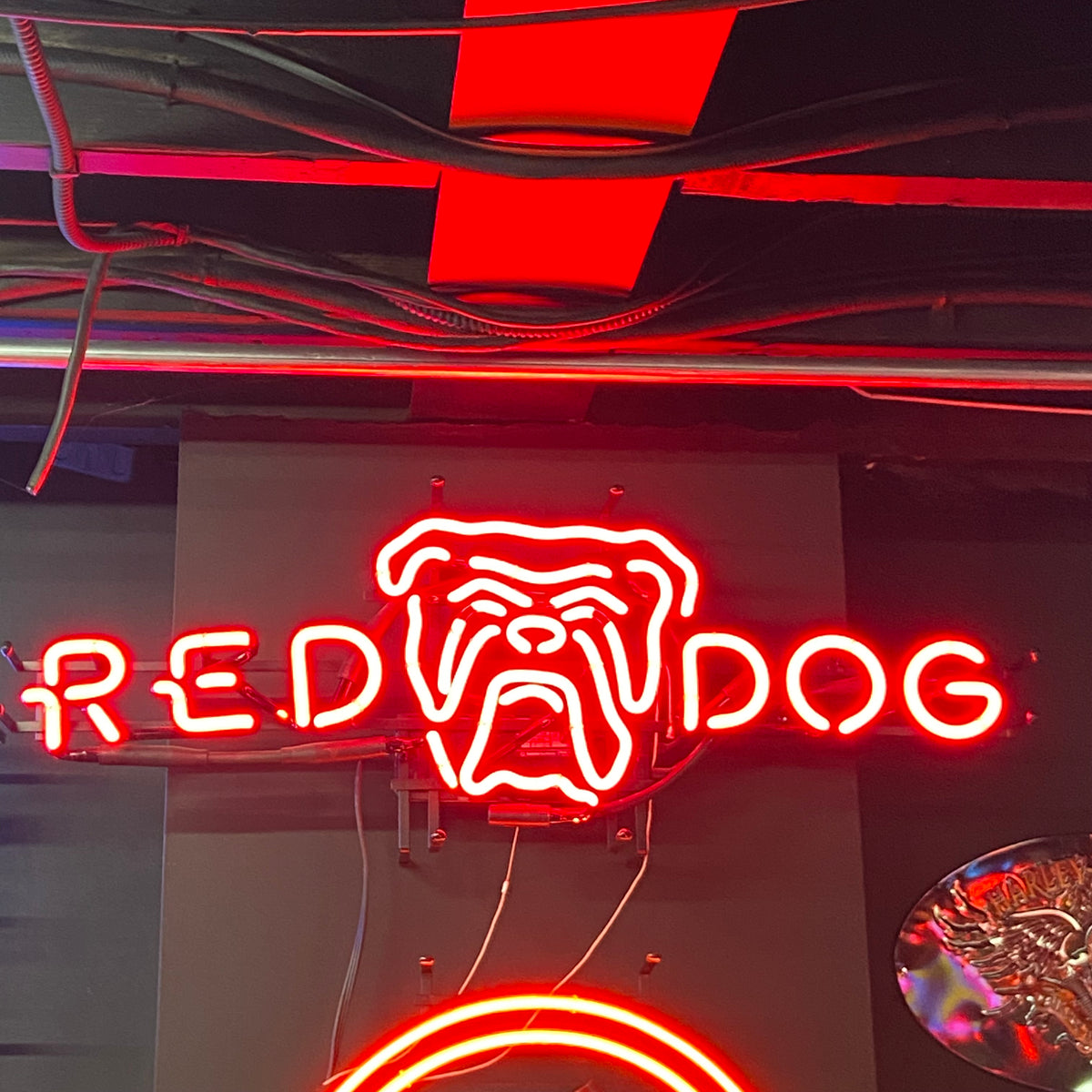 Red Dog Neon Light – D&L Billiards